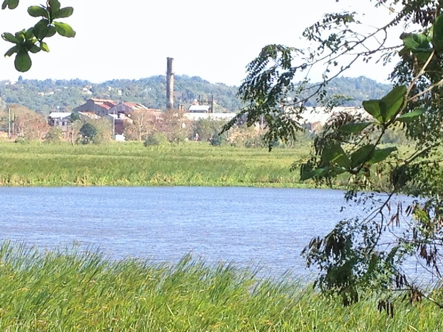 central coloso - Placeres