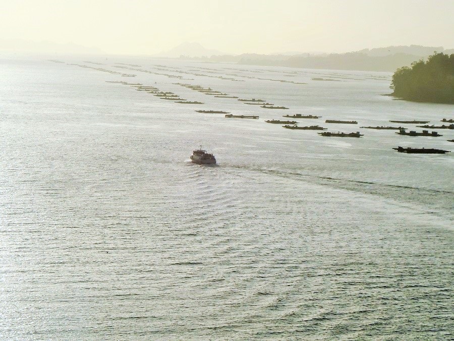 Compostela 24 Riax - Placeres