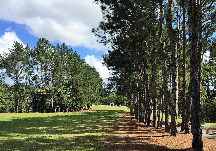 La Eterna Primavera de Cidra - Placeres