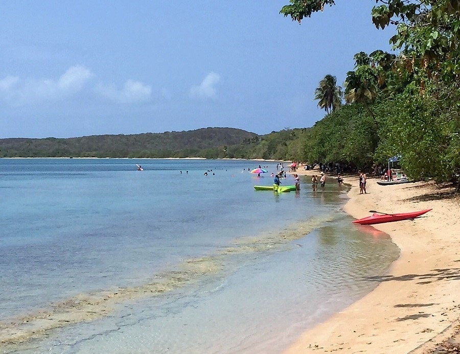 Un gran día en Fajardo - Placeres