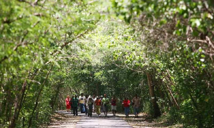 Visita a Las Cabezas de San Juan - Placeres