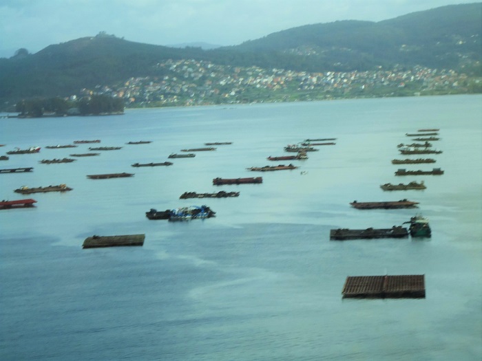 El "Camino de Santiago" - Placeres