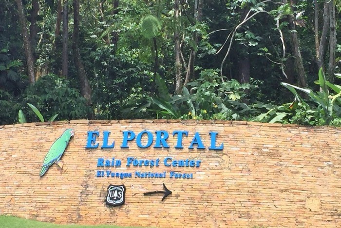 Visita a El Yunque - Placeres