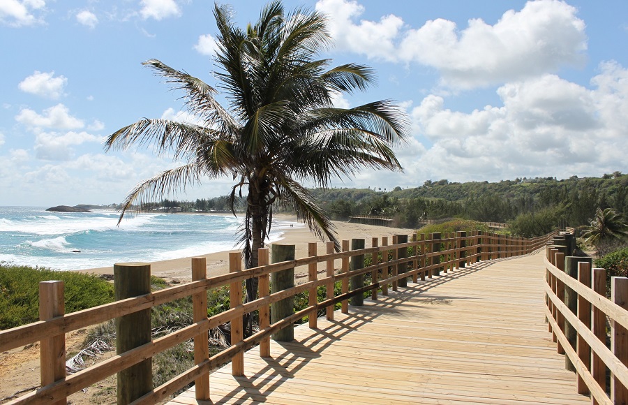 Visita a la bella Isabela - Placeres