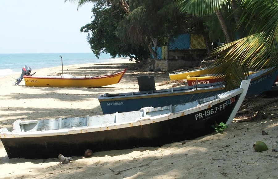 Turismo en Rincón - Placeres