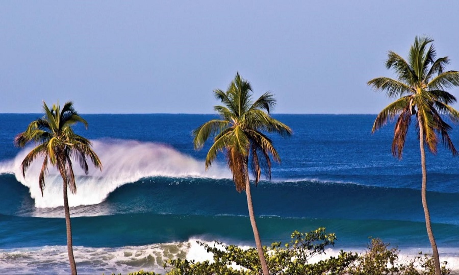 Turismo en Rincón - Placeres