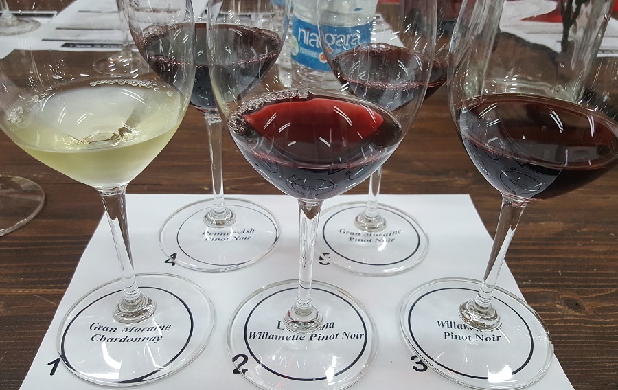 Vinos de Oregón de Jackson Family Wines - Placeres