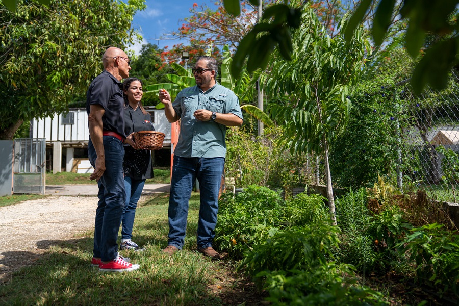 To-Ricos - #puerTORICOS (2) - Placeres