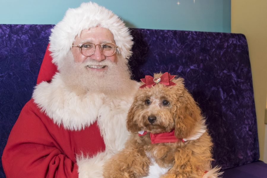 Pásalo bien en PLAZA - Placeres