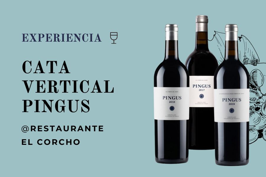 Cata Vertical Vinos Pingus - Placeres
