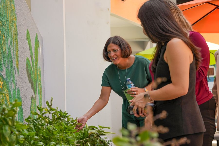 Vimenti recibe subvención de Fundación Starbucks - Placeres