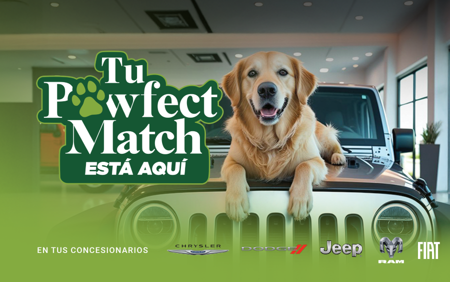 Campaña Pawfect Match en favor mascotas - Placeres